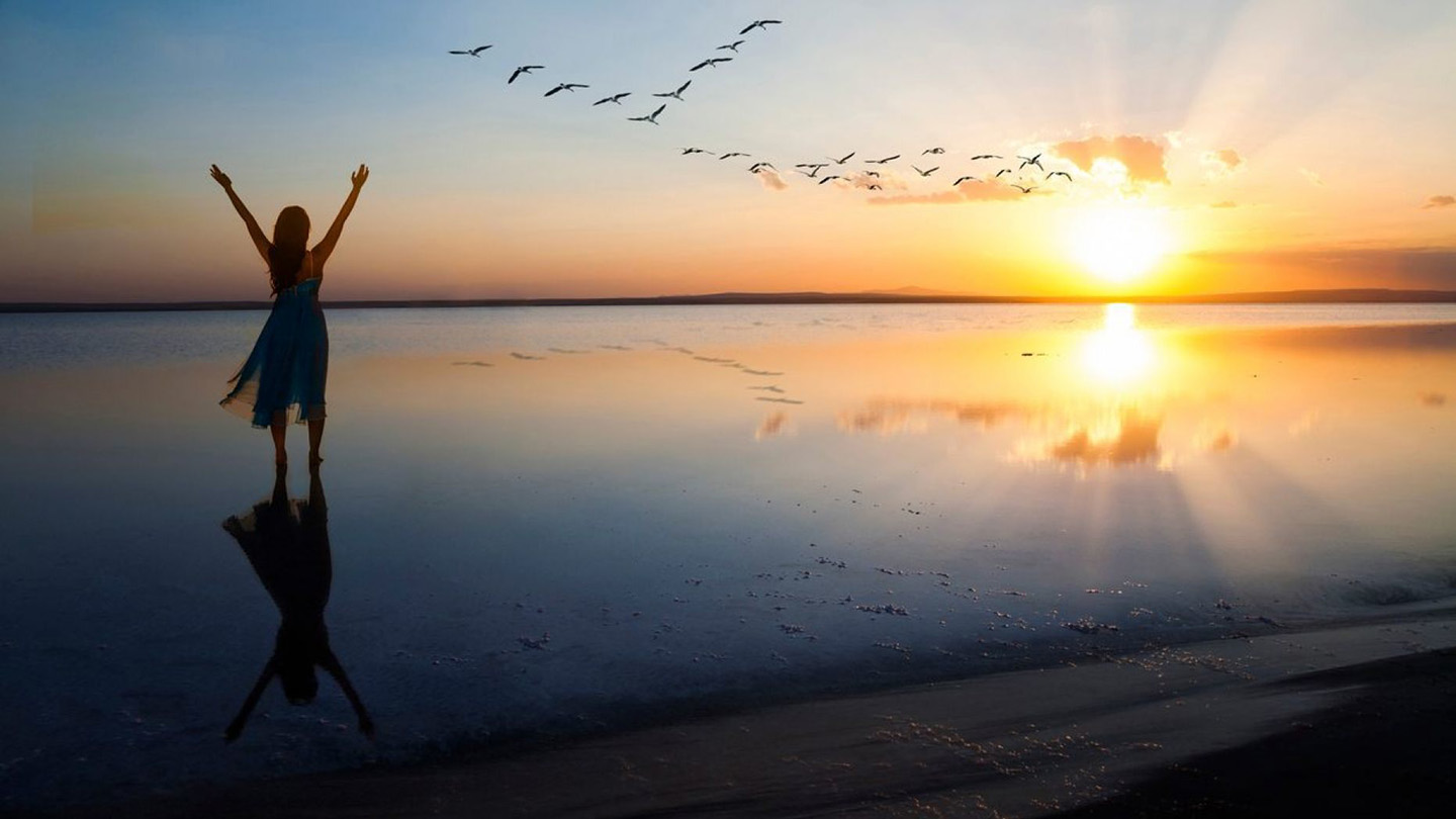 Carolyn's Insights - FAERF - Featured Books & Videos